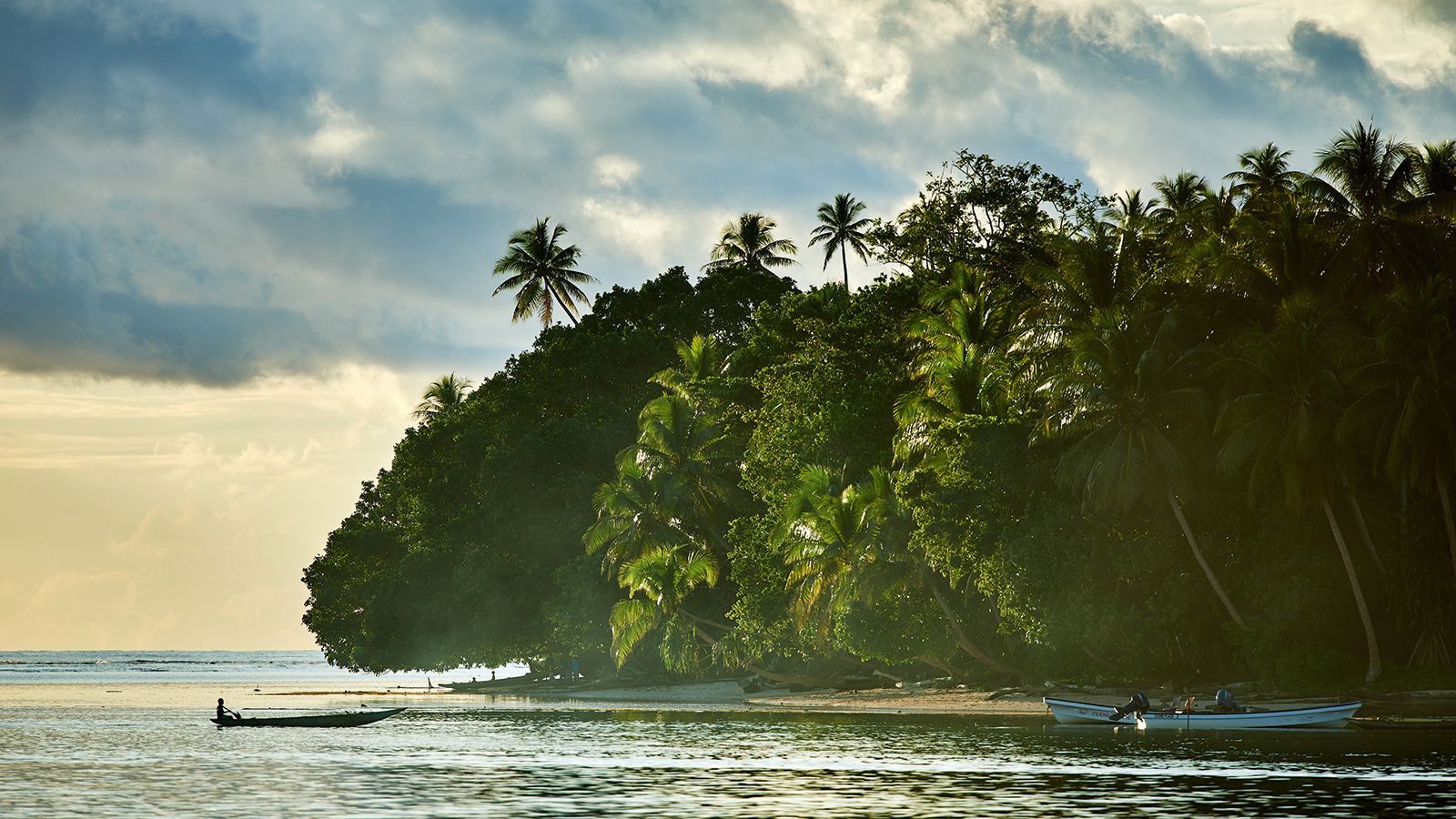 Melanesia: where the wild things are